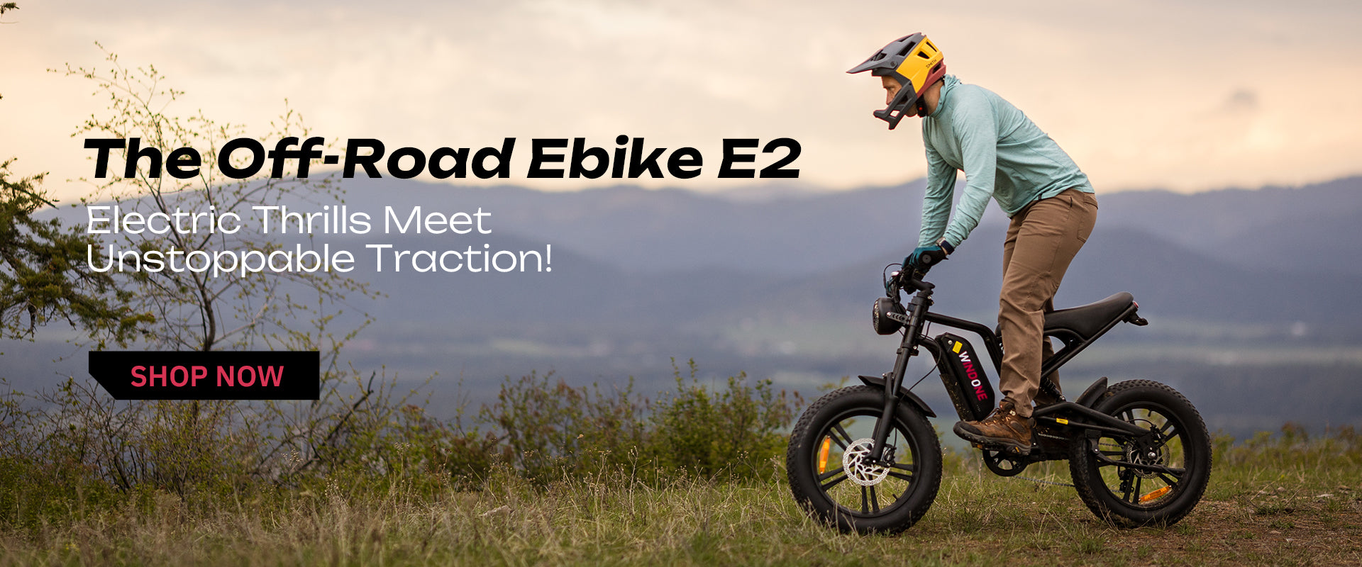 Electric Bikes & Electric Dirt Bikes-Windone Canada