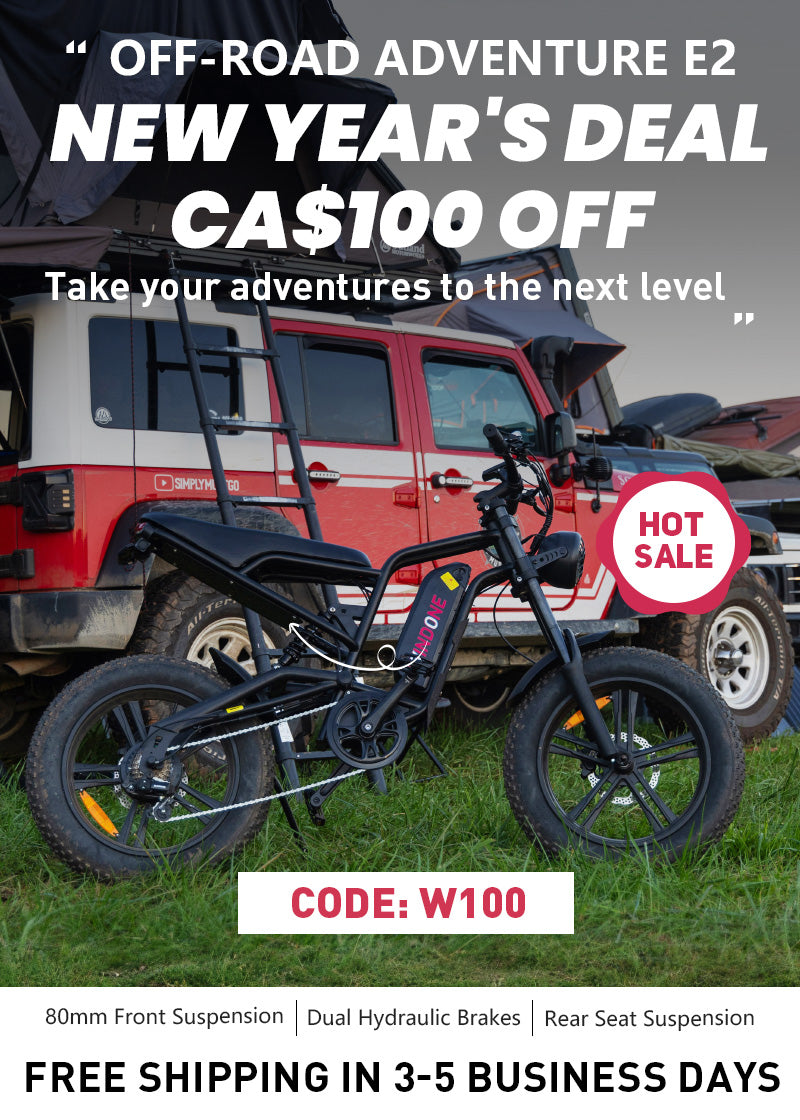 Electric Bikes & Electric Dirt Bikes-Windone Canada