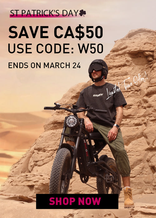 Electric Bikes & Electric Dirt Bikes-Windone Canada