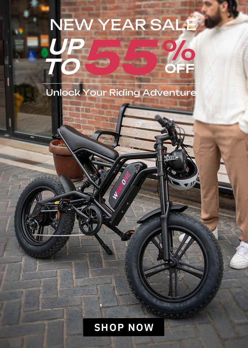 Electric Bikes & Electric Dirt Bikes-Windone Canada