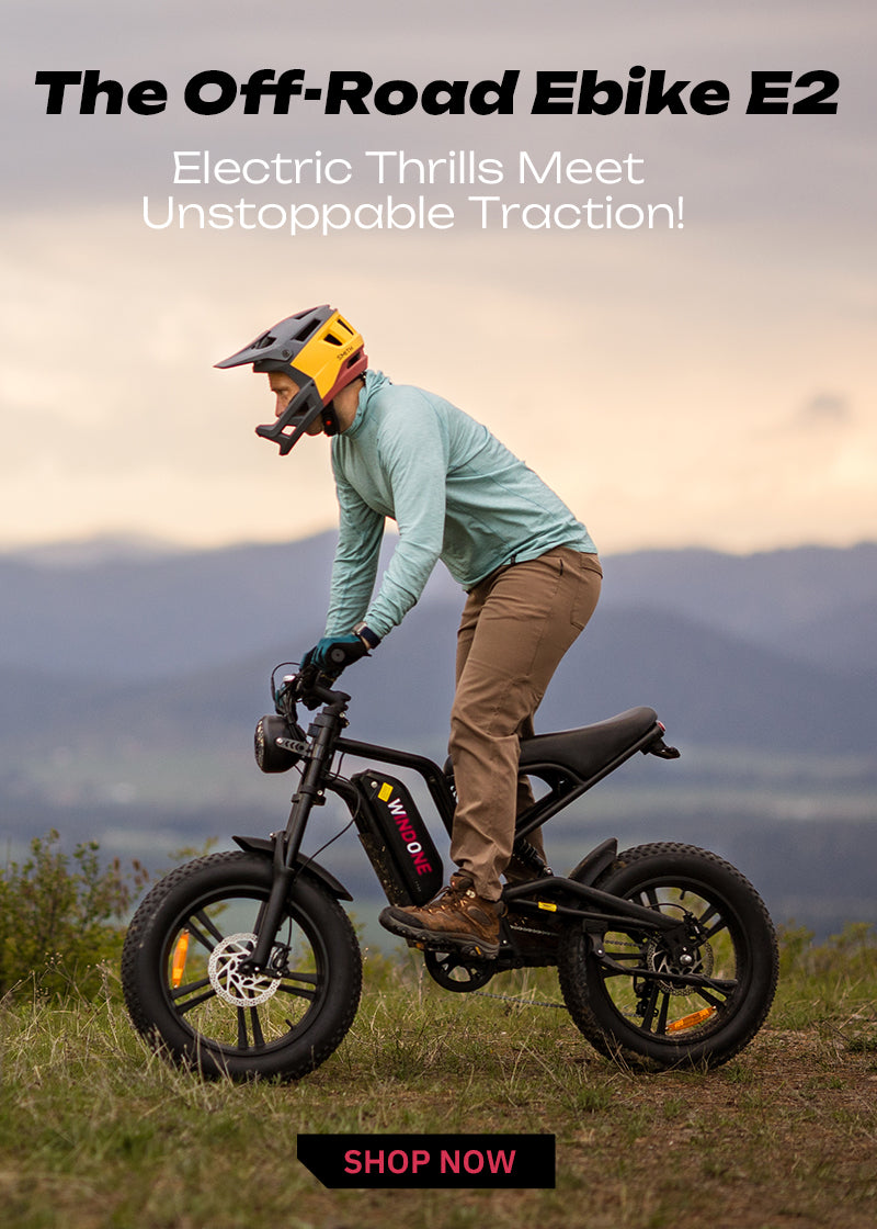 Electric Bikes & Electric Dirt Bikes-Windone Canada