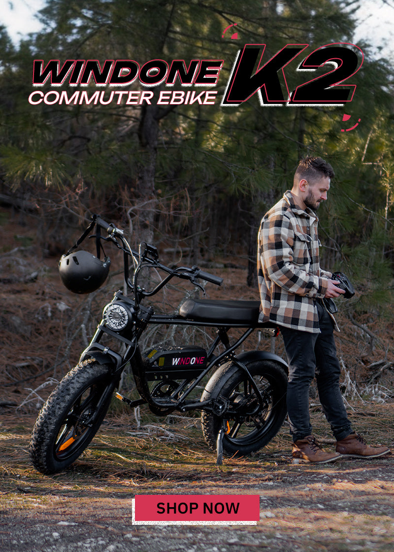 Electric Bikes & Electric Dirt Bikes-Windone Canada