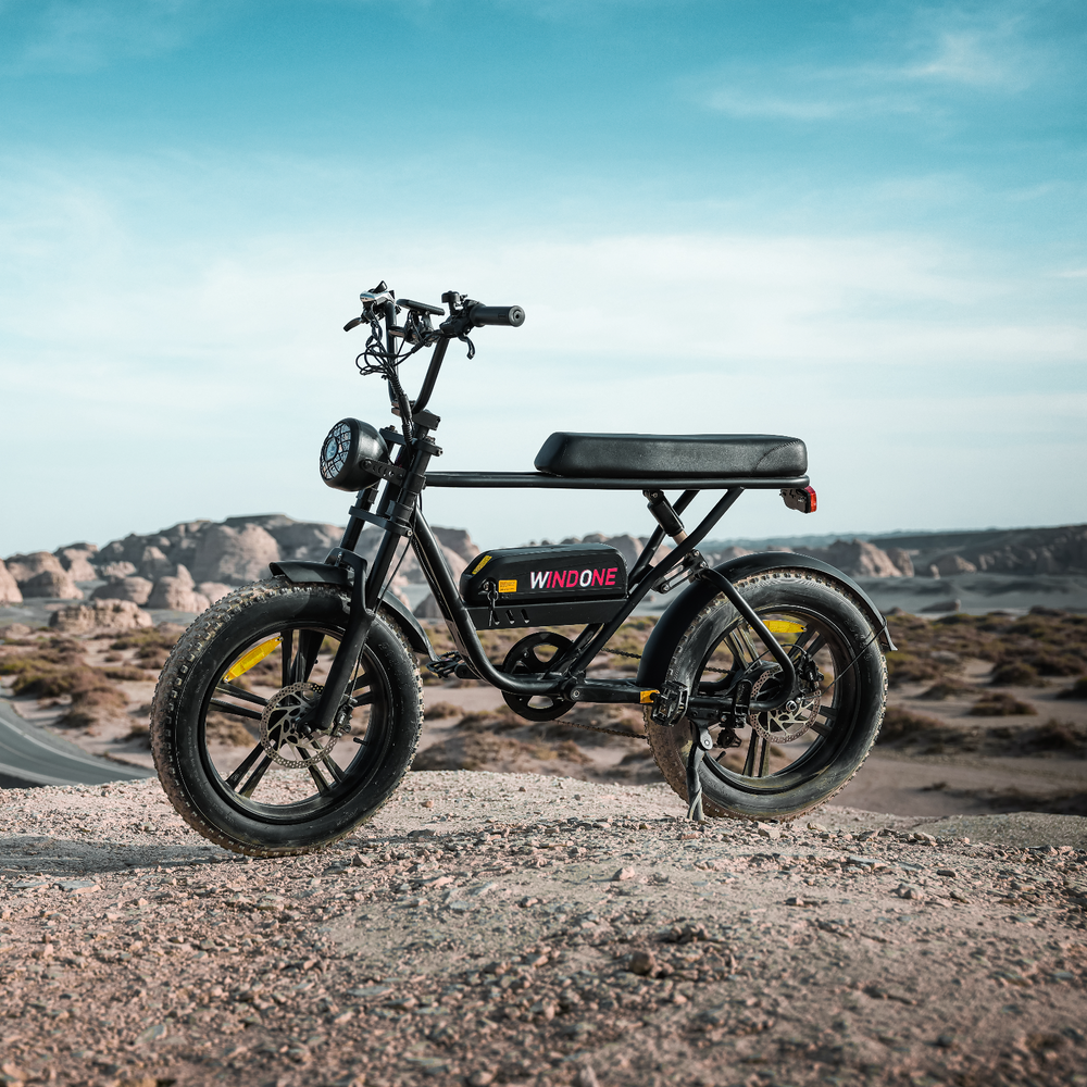 Windone K2 Off-Road Adventure Fat Tire Electric Bike