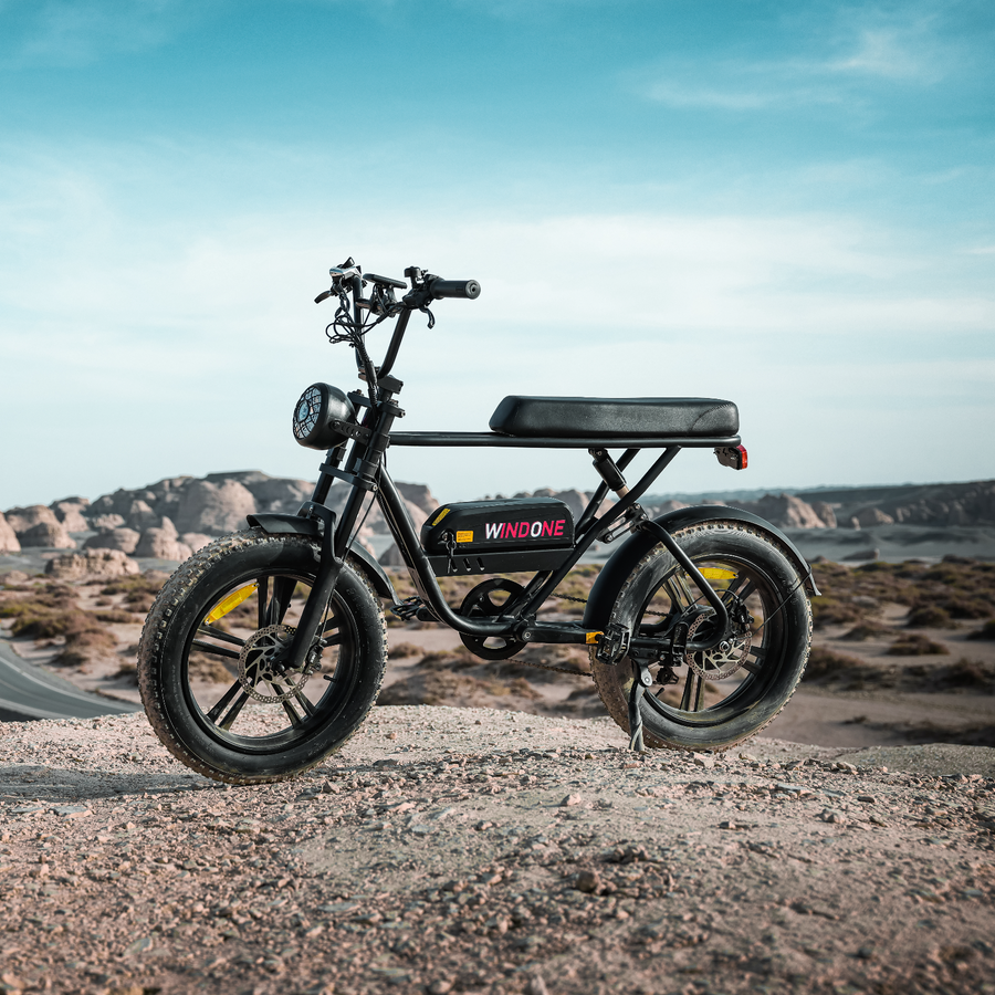 Windone K2 Off-Road Adventure Fat Tire Electric Bike