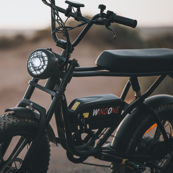 Windone K2 Off-Road Adventure Fat Tire Electric Bike