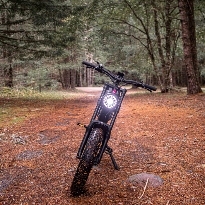 Windone E2 Fat Tire Off Road Urban Commuter Electric Bike