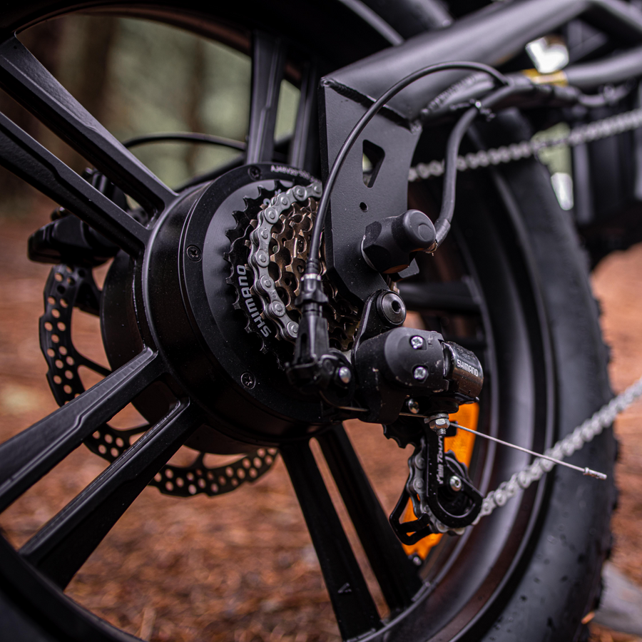 Windone E2 Fat Tire Off Road Urban Commuter Electric Bike