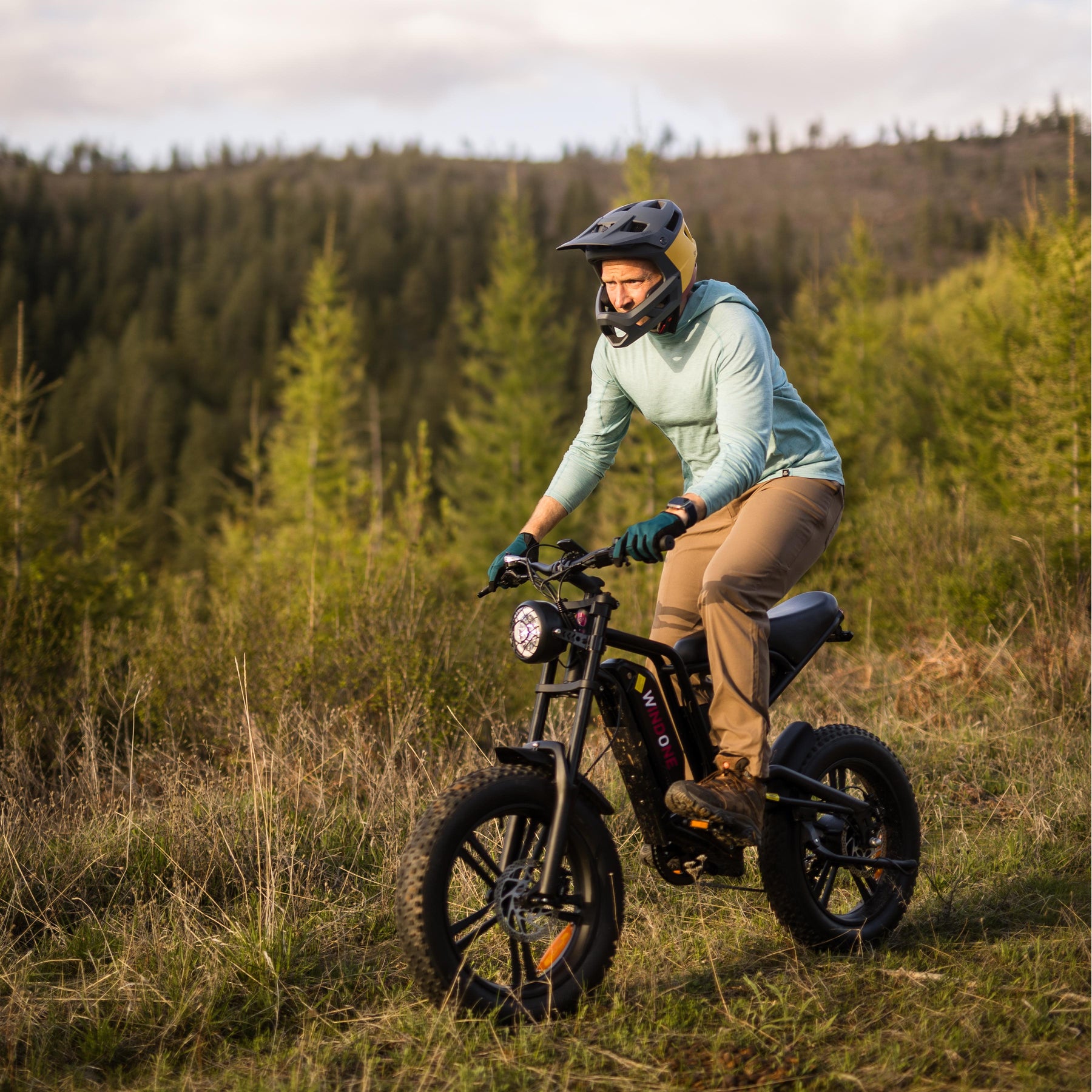 Windone E2 Fat Tire Off Road Urban Commuter Electric Bike